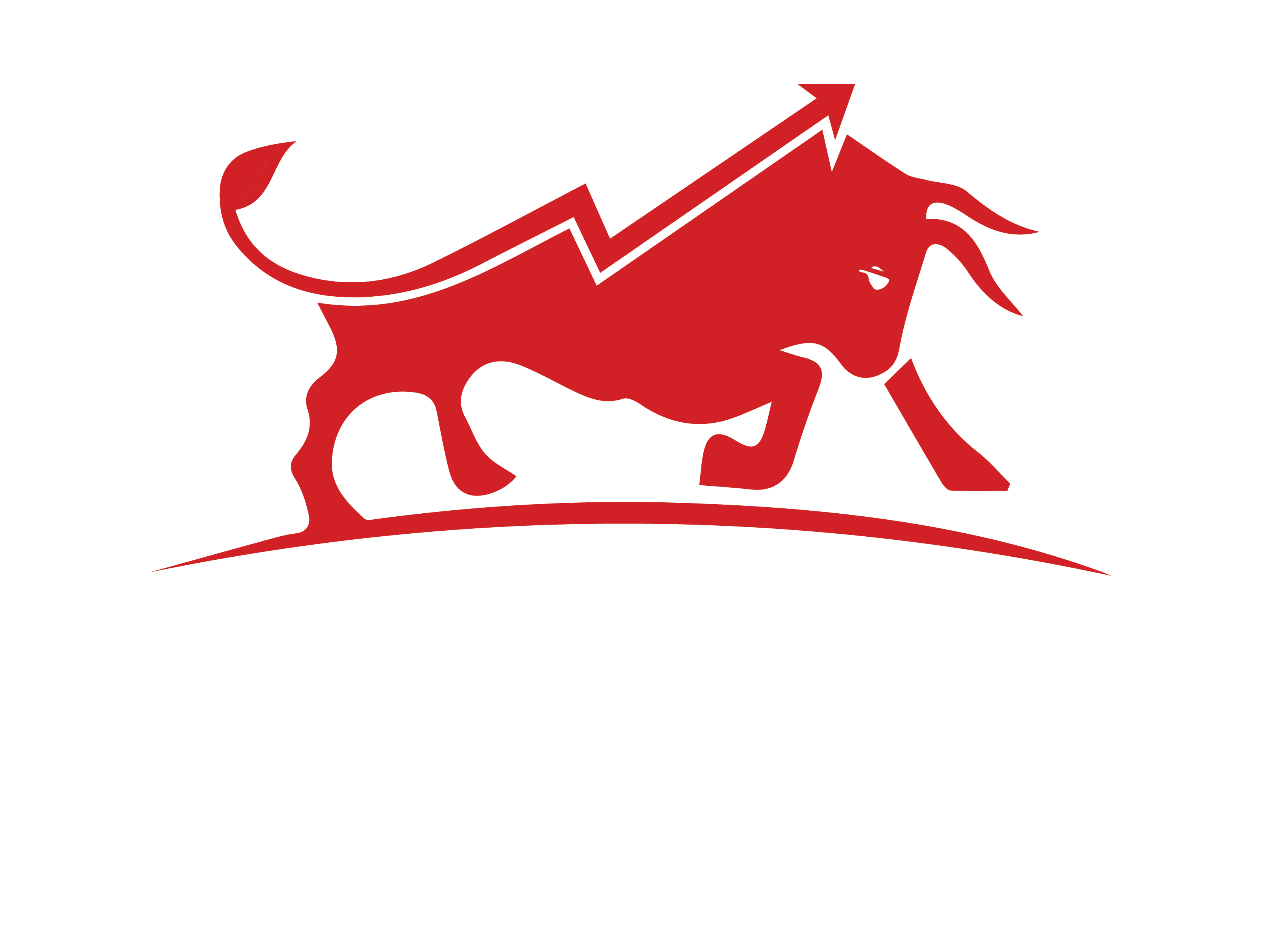 Home - Bullseye Capital Invest today
